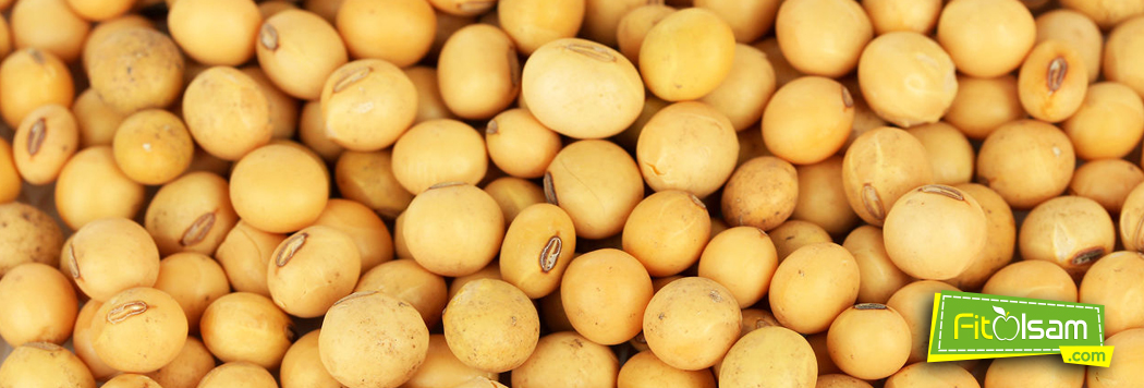 Soya Fasulyesi - Faydalı Yiyecekler | Fit Olsam