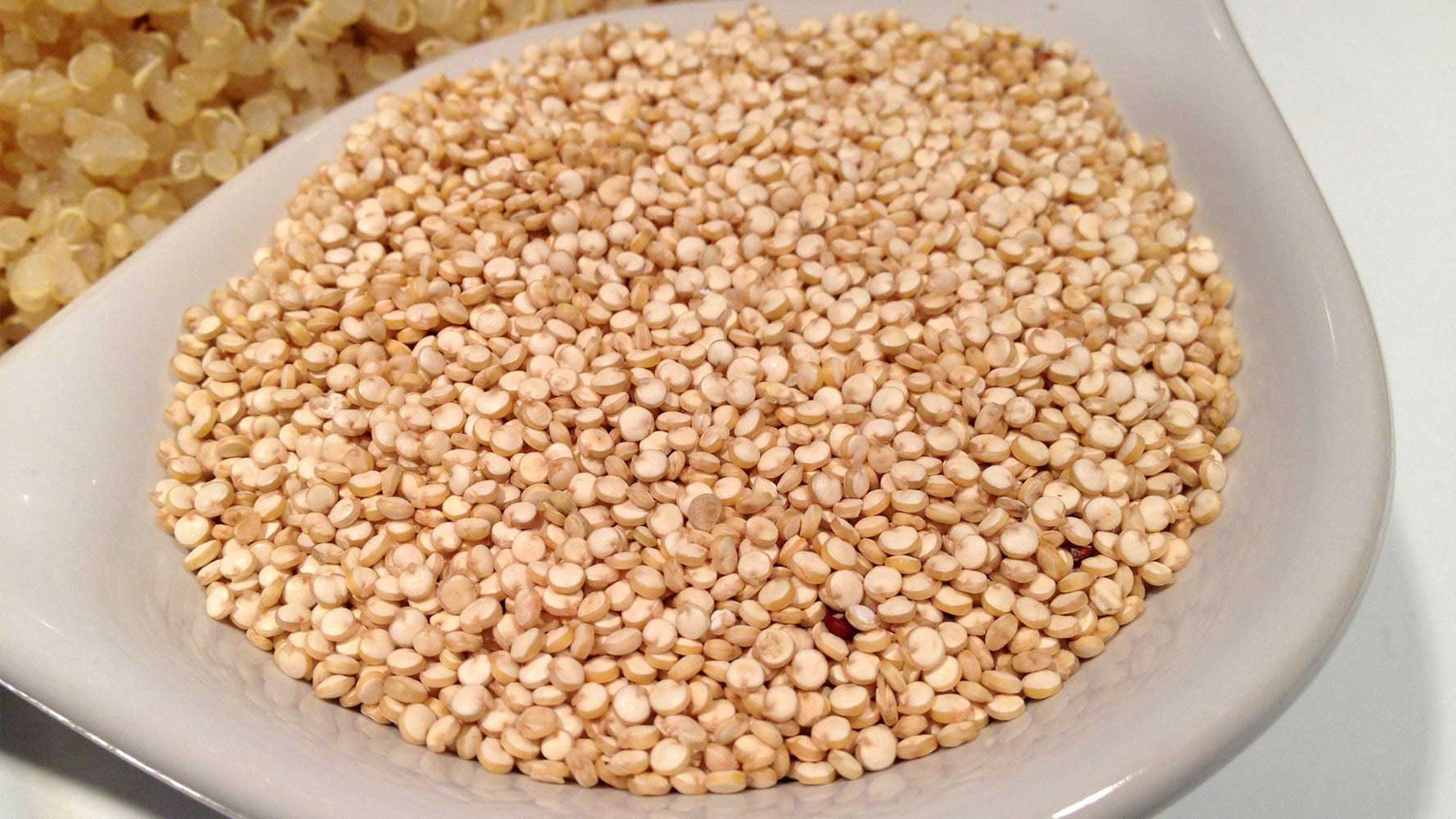 Kinoa Nedir? Kinoanın Faydaları Nedir? - Şifalı Bitkiler | Fit Olsam